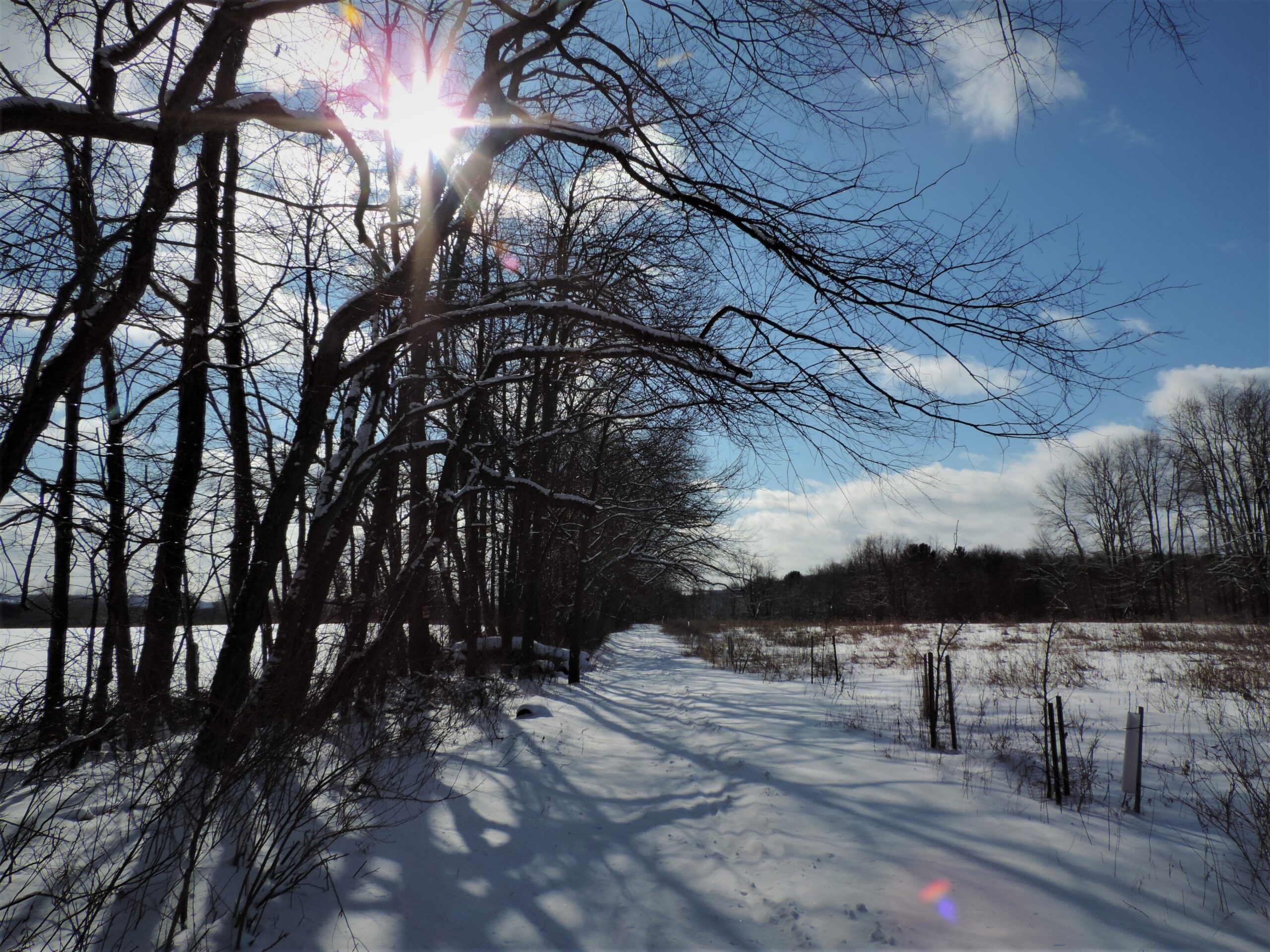 Winter’s peace is upon us all | News, Sports, Jobs - Observer Today